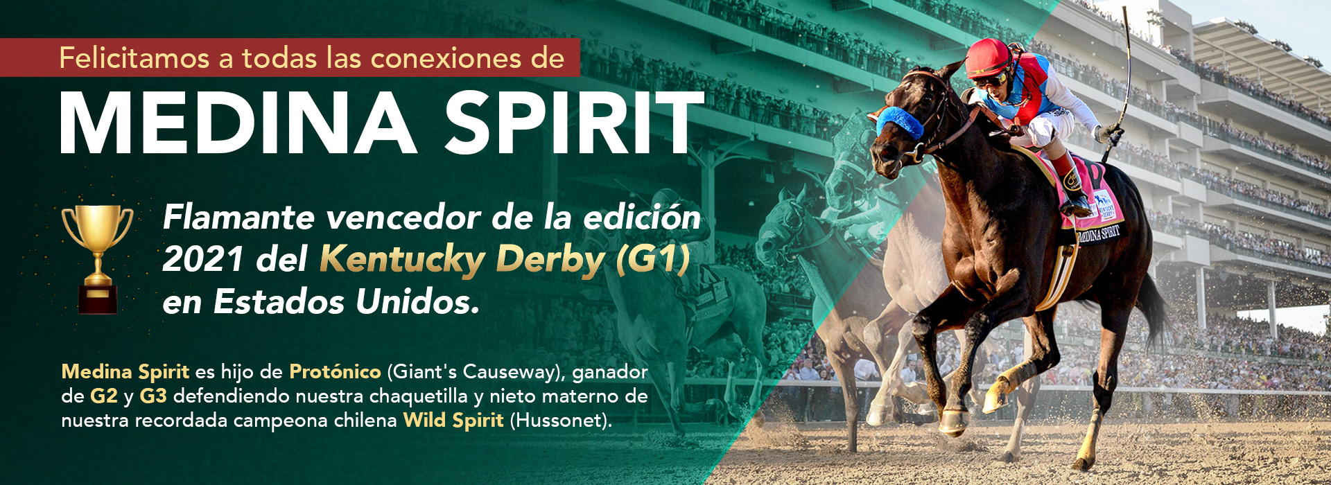 Haras Sumaya | Haras Sumaya